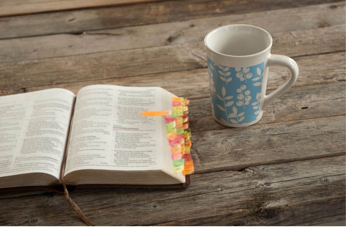 Reference Bibles vs. Study Bibles: What's the Difference? - Best Bible ...