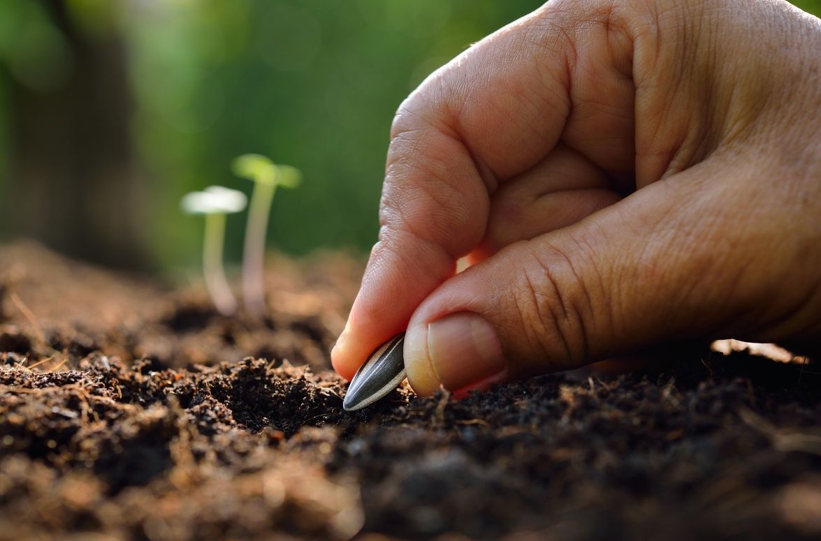 What Does the Bible Say About Planting Seeds? 13 Powerful Verses - Best ...