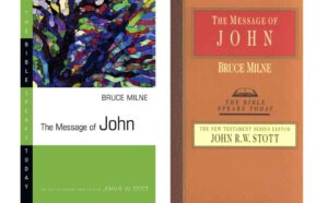 Best John Commentaries | Helpful Reviews - Best Bible Commentaries