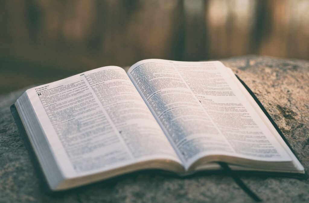 ESV vs. NIV: Comparing Bible Translations – Best Bible Commentaries