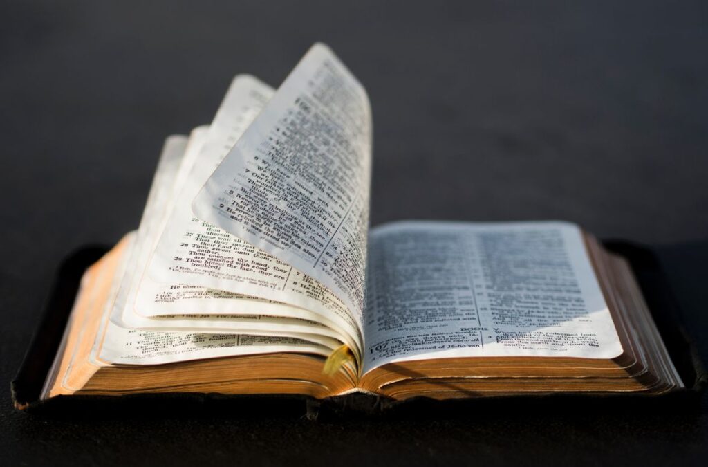 9 Important Facts About the Christian Standard Bible (CSB) - Best Bible ...